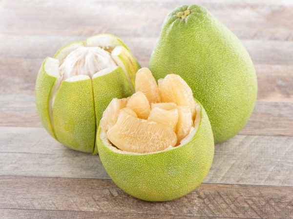 Pomelo Seeds- (variety-yellow pulp) - Mountain Top Seed Bank
