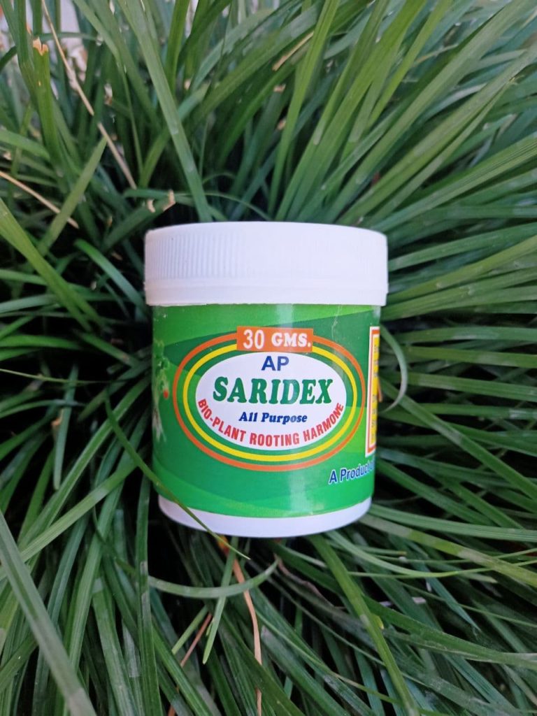 Saridex Rooting Hormone - Promote healthy roots with 100% Success rate